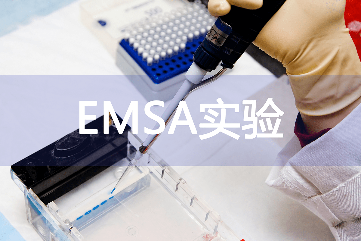 广州市唯誉智合科技有限公司