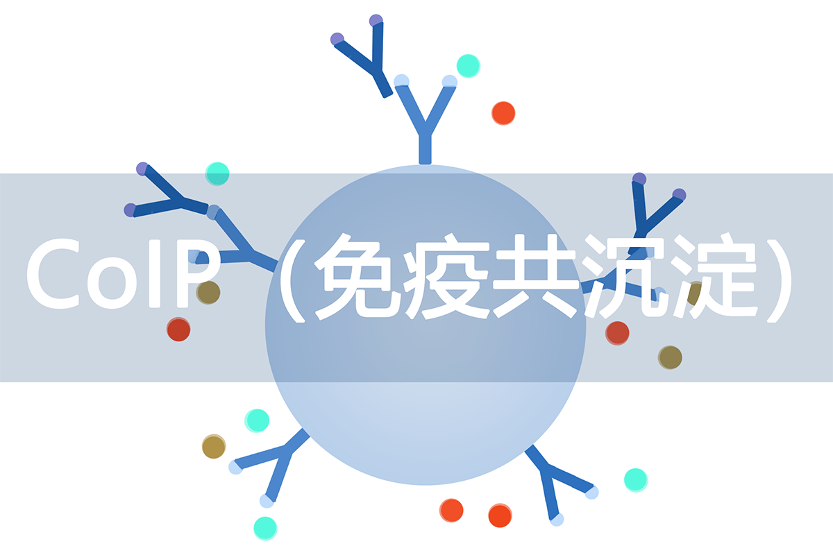 广州市唯誉智合科技有限公司