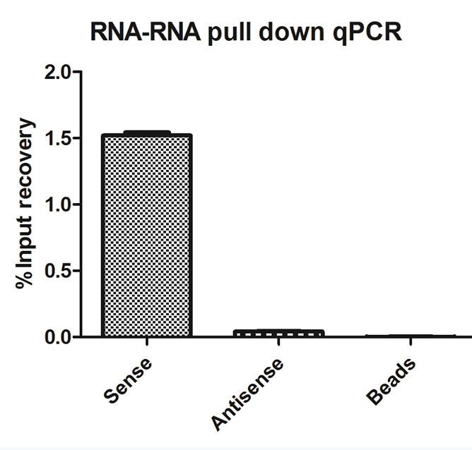 广州市唯誉智合科技有限公司